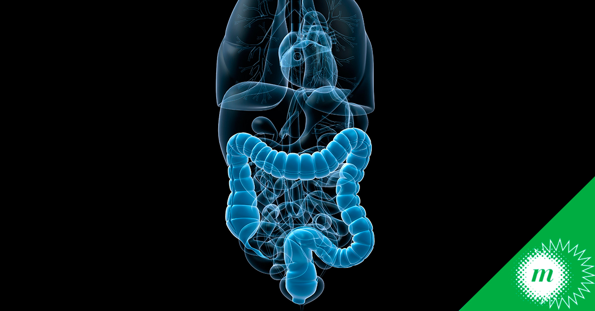 Diverticoli: come riconoscerli e tenerli sotto controllo | MultiMedica